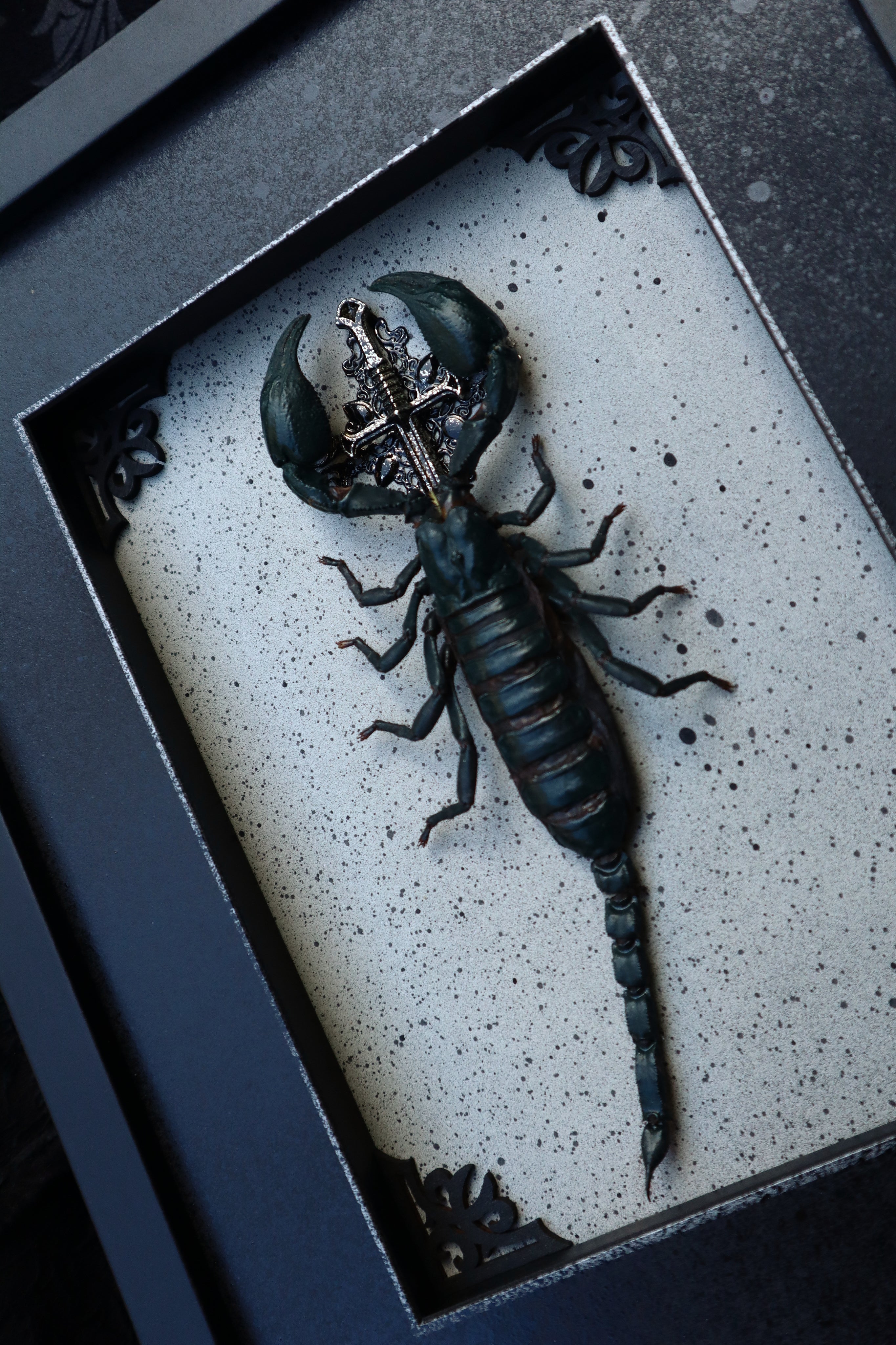 Dear Afterlife | Taxidermy | Dark Victorian Oddities | Gothic Gifts