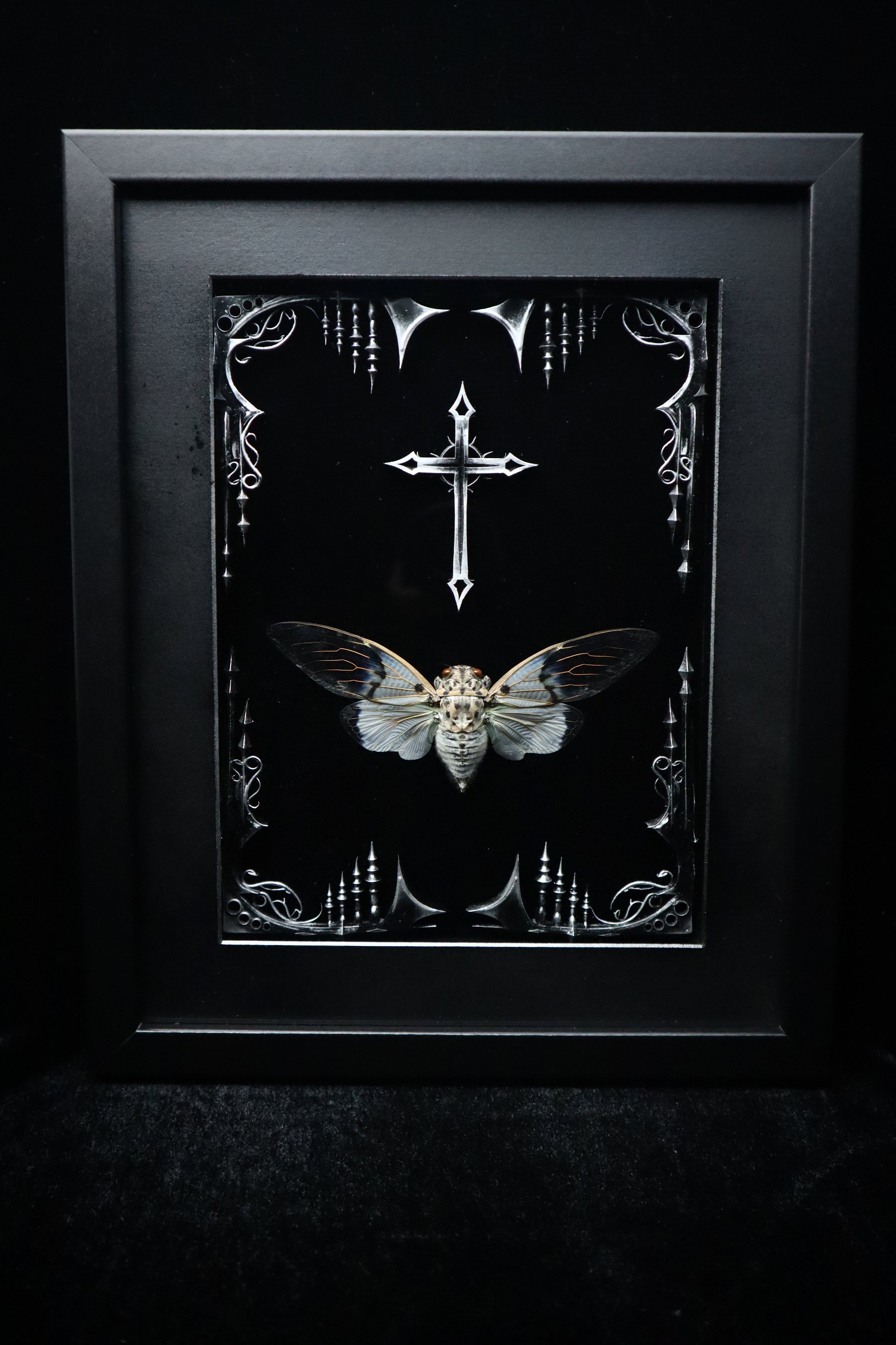 Dear Afterlife | Taxidermy | Dark Victorian Oddities | Gothic Gifts