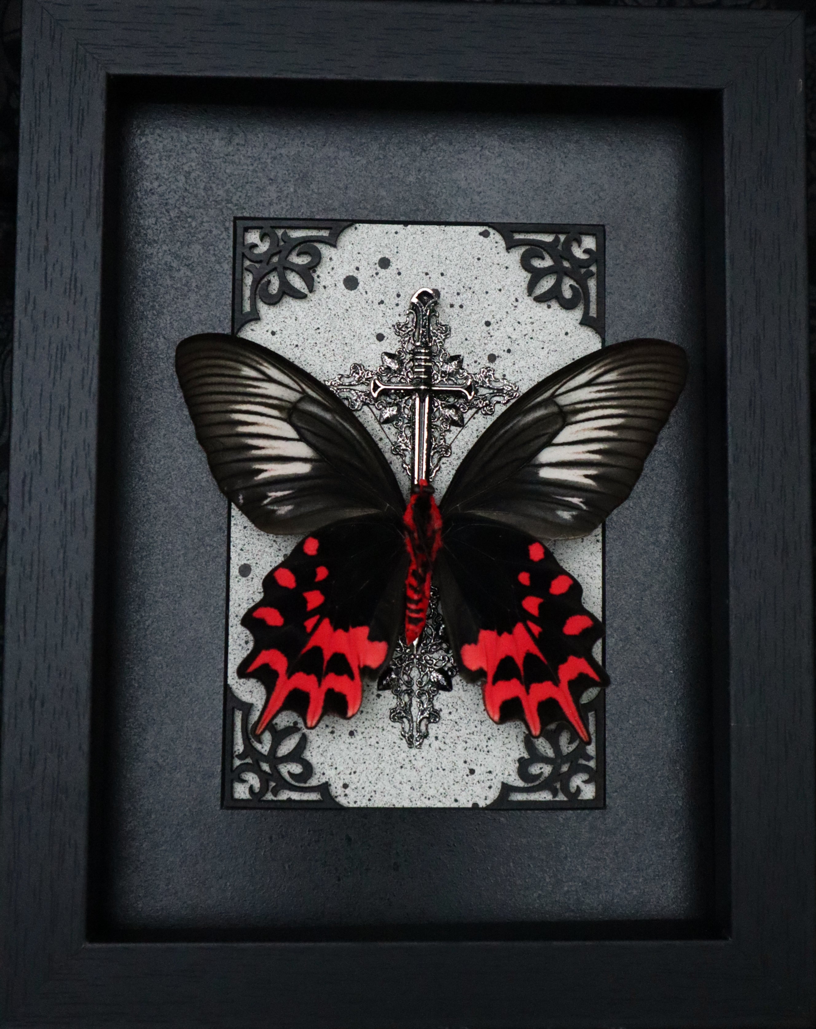 Dear Afterlife | Taxidermy | Dark Victorian Oddities | Gothic Gifts