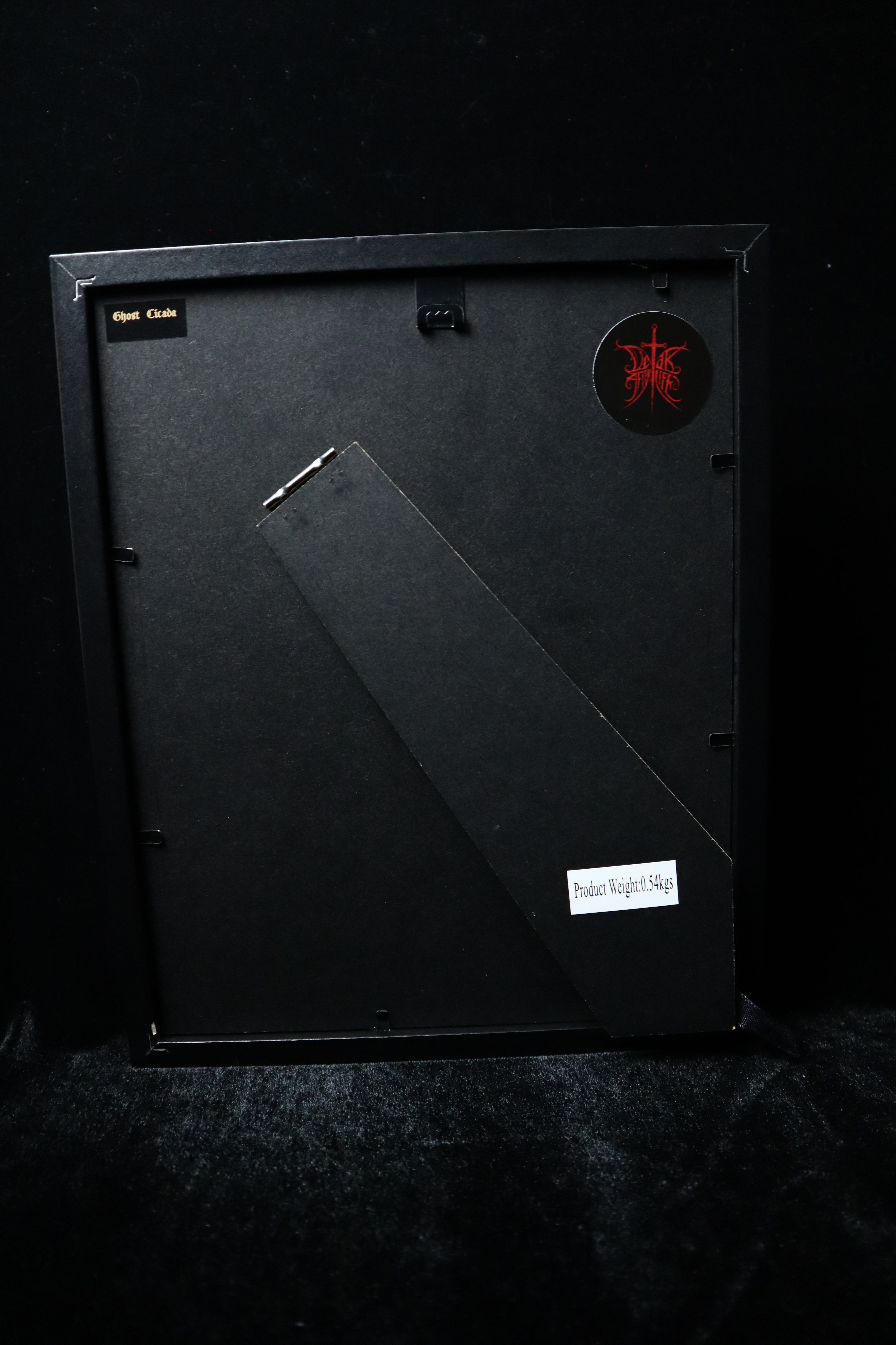 Dear Afterlife | Taxidermy | Dark Victorian Oddities | Gothic Gifts